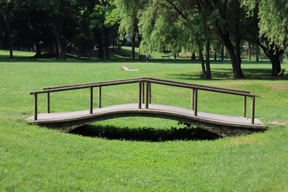 10 Steps to Create a Perfect Lawn - Verge Campus