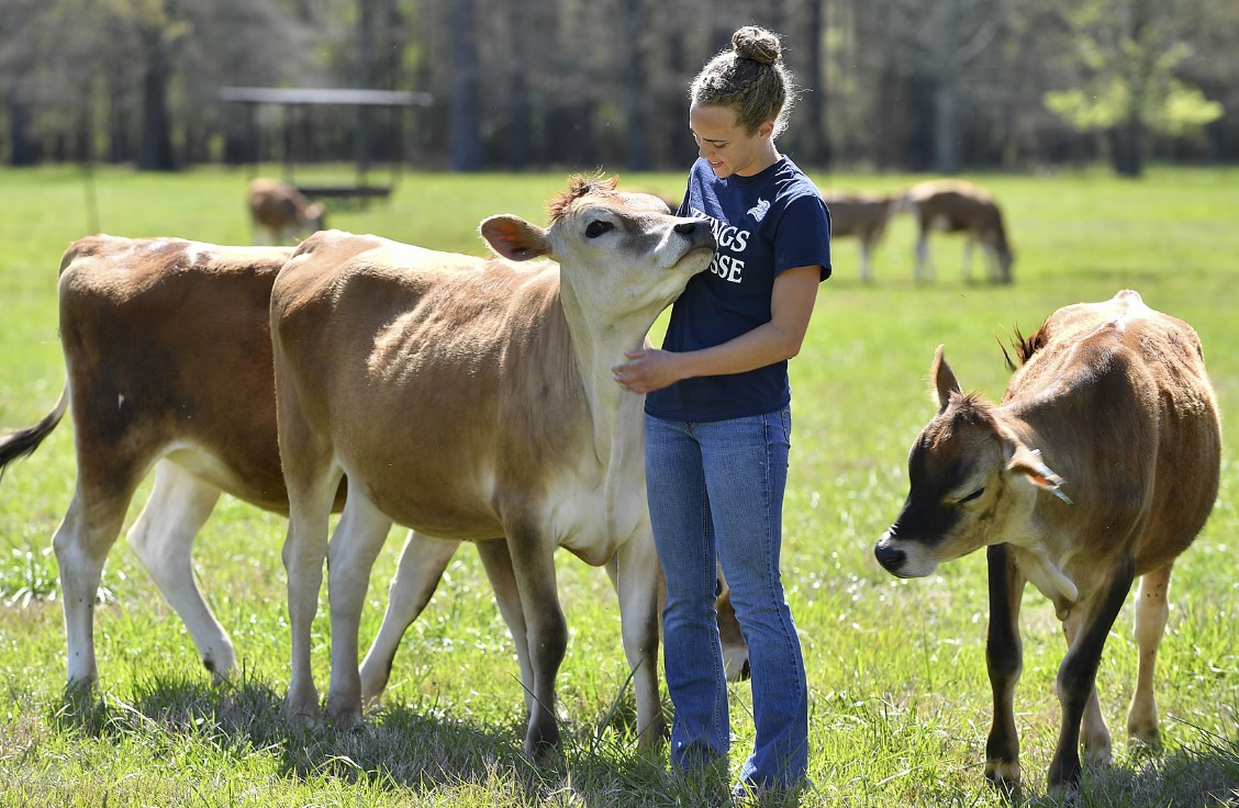 What You Need to Know Before Buying an Animal Farm - Verge Campus