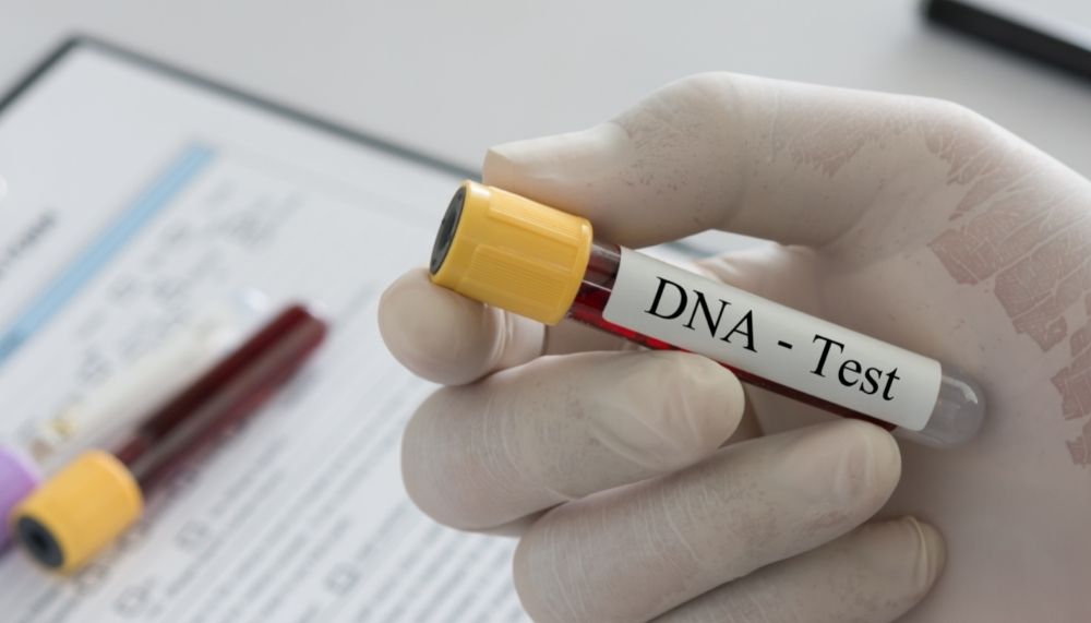 Understanding The Accuracy Of DNA Paternity Tests: 5 Things To Know ...