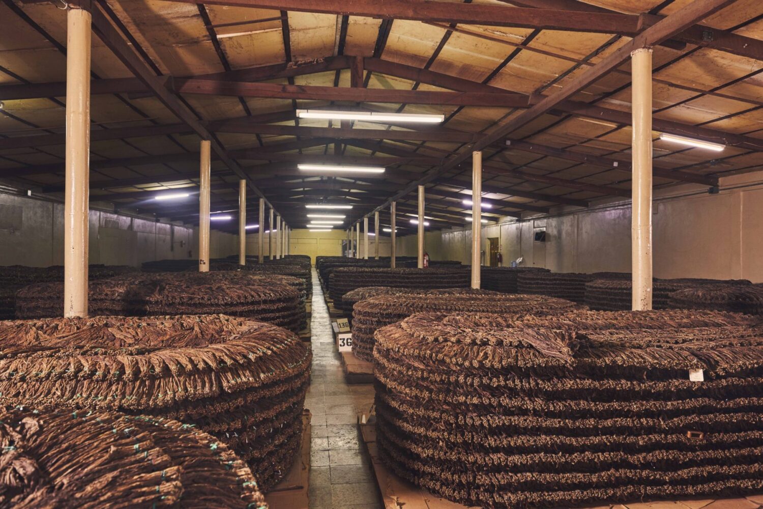From Seed to Smoke ─ The Journey of Premium Cigars and Their Unmatched ...