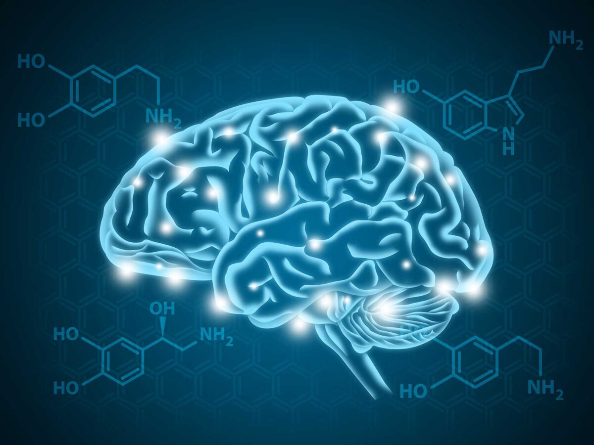 Gaming Addiction and Role of Dopamine - Things You Should Know - Verge ...