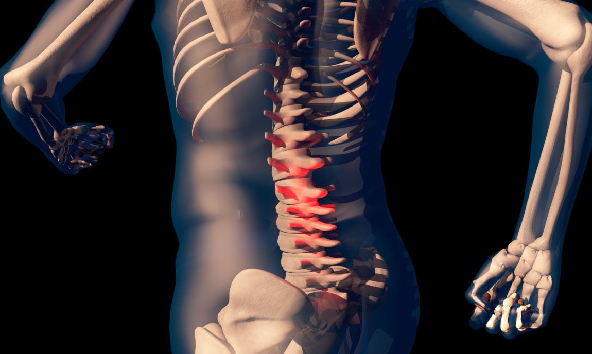 Chiropractic Wellness Essentials ─ Tips to Elevate Your Health - Verge ...