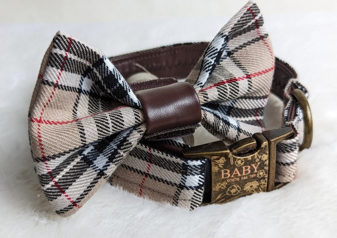 Strut Your Pup in Style ─ The Fascinating World of Designer Dog Collars ...